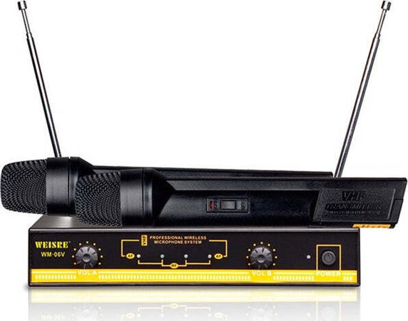 Coppia Microfoni Wireless Doppio Canale Centralina Wm06 Utilizzo ...